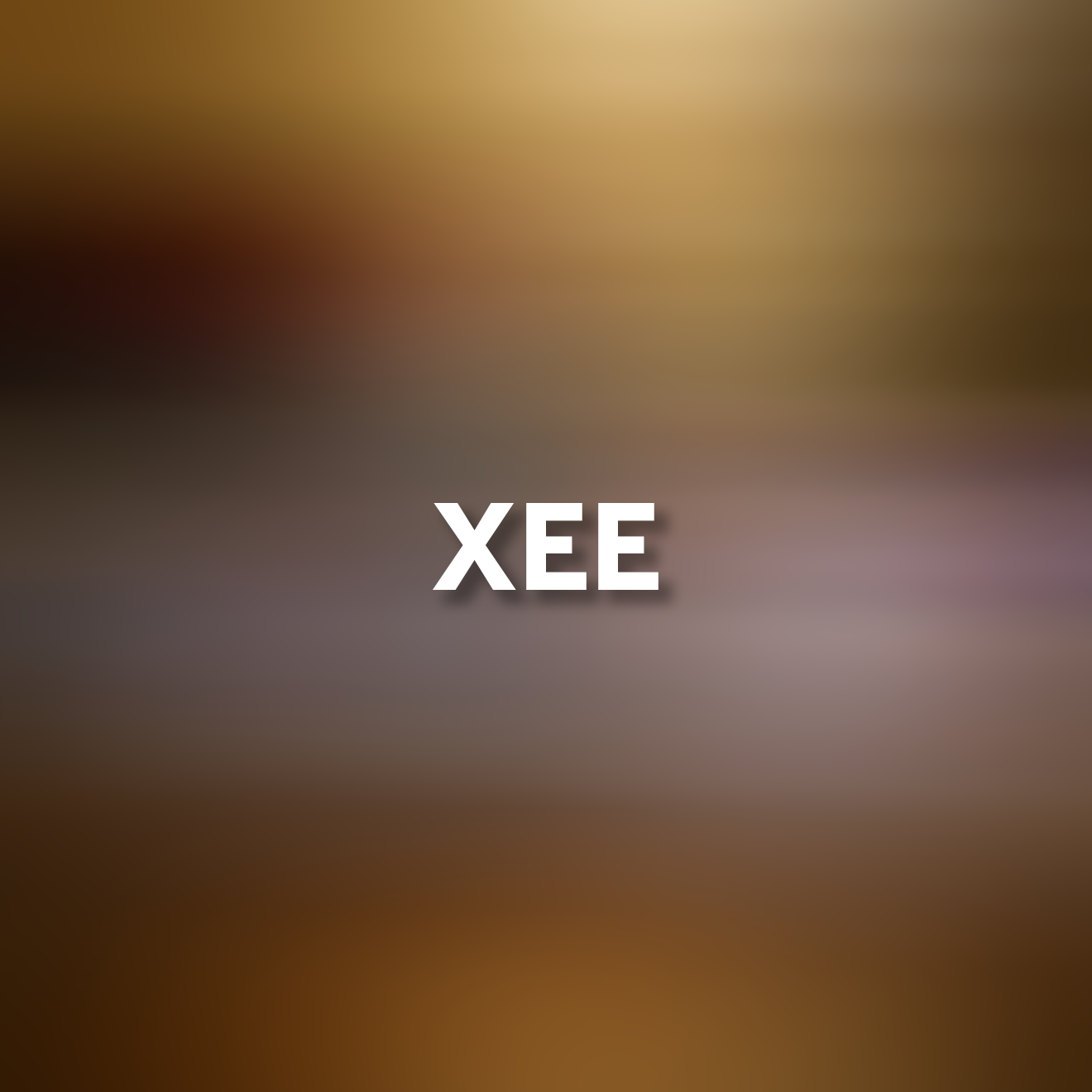 XEE – Evangelism Explosion Store